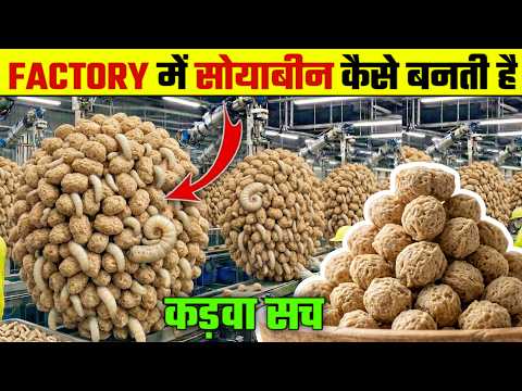 फैक्ट्री में सोया बड़ी कैसे बनती है? Soya Chunks Manufacturing Process |Soybean Badi Kaise Banti Hai