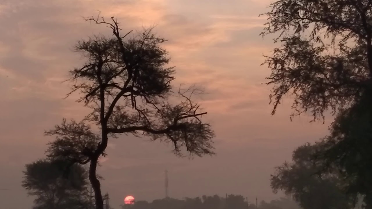 Ahmedabad bareja - YouTube