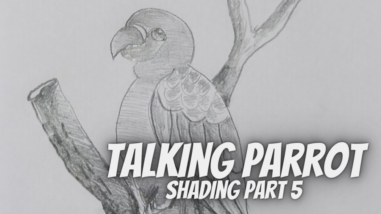 Talking Parrot | Shading Part 5 - YouTube