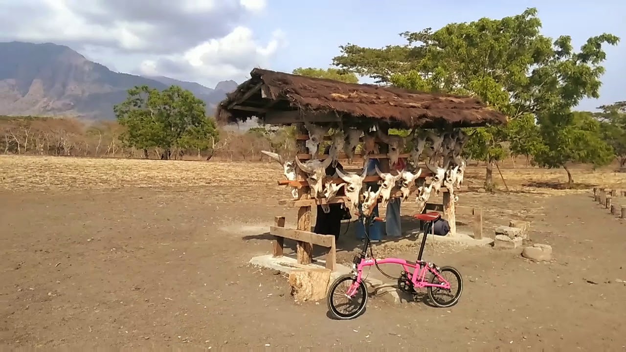Baluran... Africa Van Java, Gowesin ajah.. - YouTube