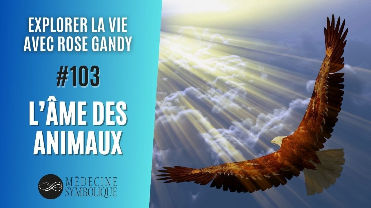 Les animaux ont-ils une âme ?! - Les brèves de l'âme - Rose Gandy - YouTube