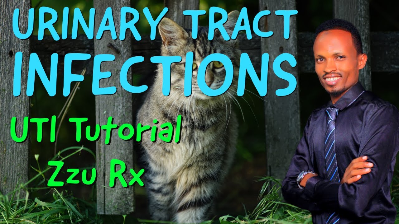 Best Tutorial on URINARY TRACT INFECTION (UTI) - YouTube