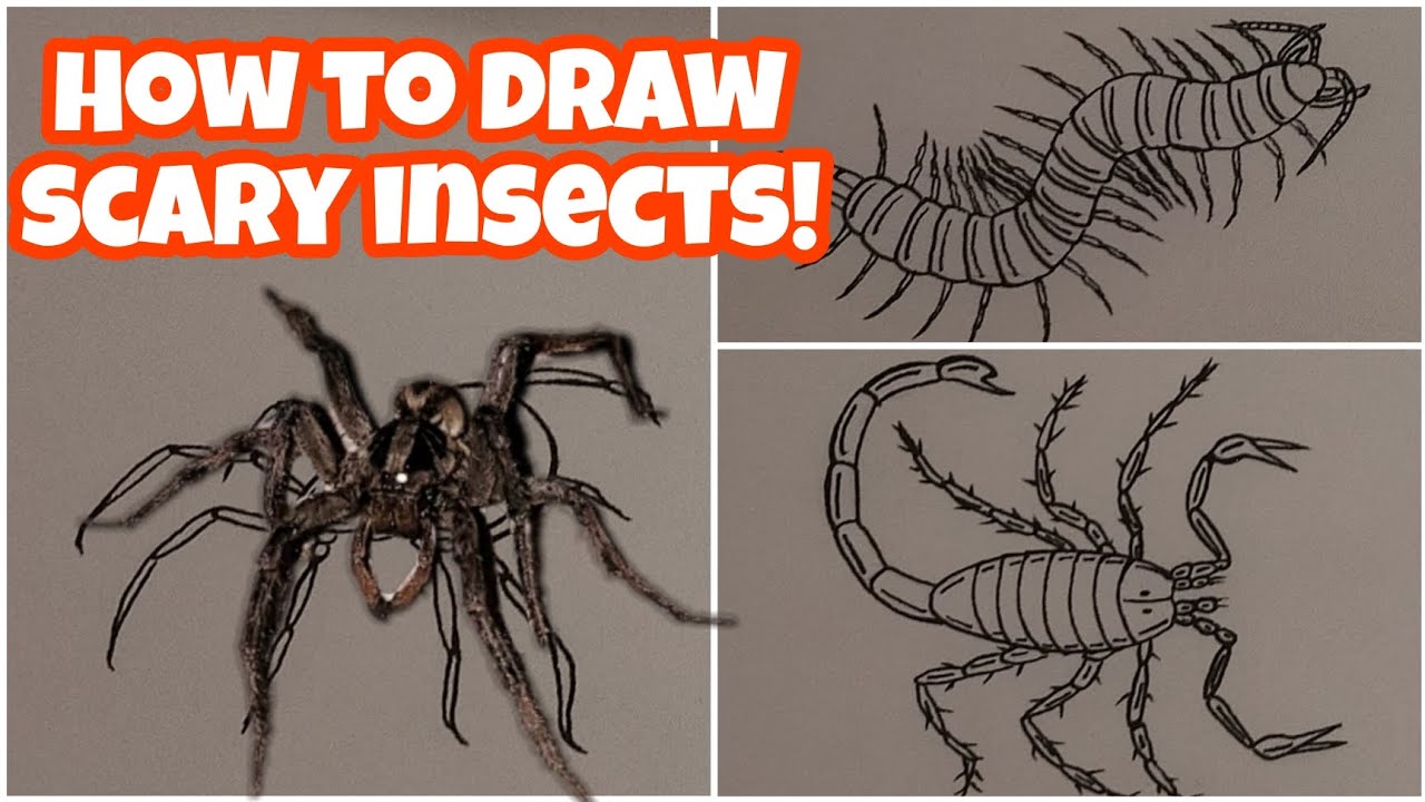How to draw scary insects! ( spider, scorpion, centipede - YouTube