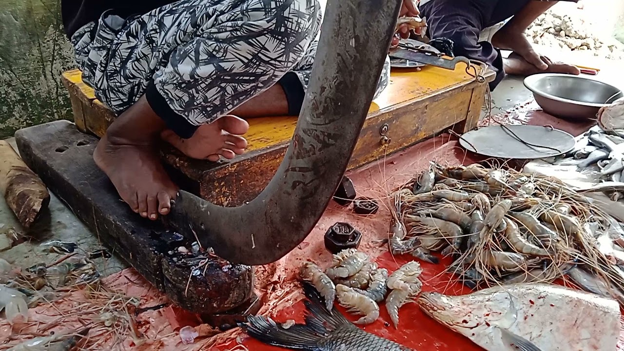 cuts parwn little chingri fish cuts in public l Chingari fish cutting ...