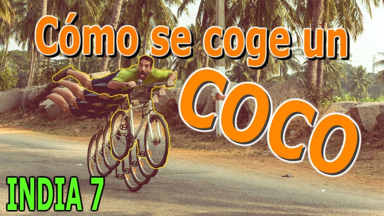 India 7 | Así cogen los cocos en India - YouTube