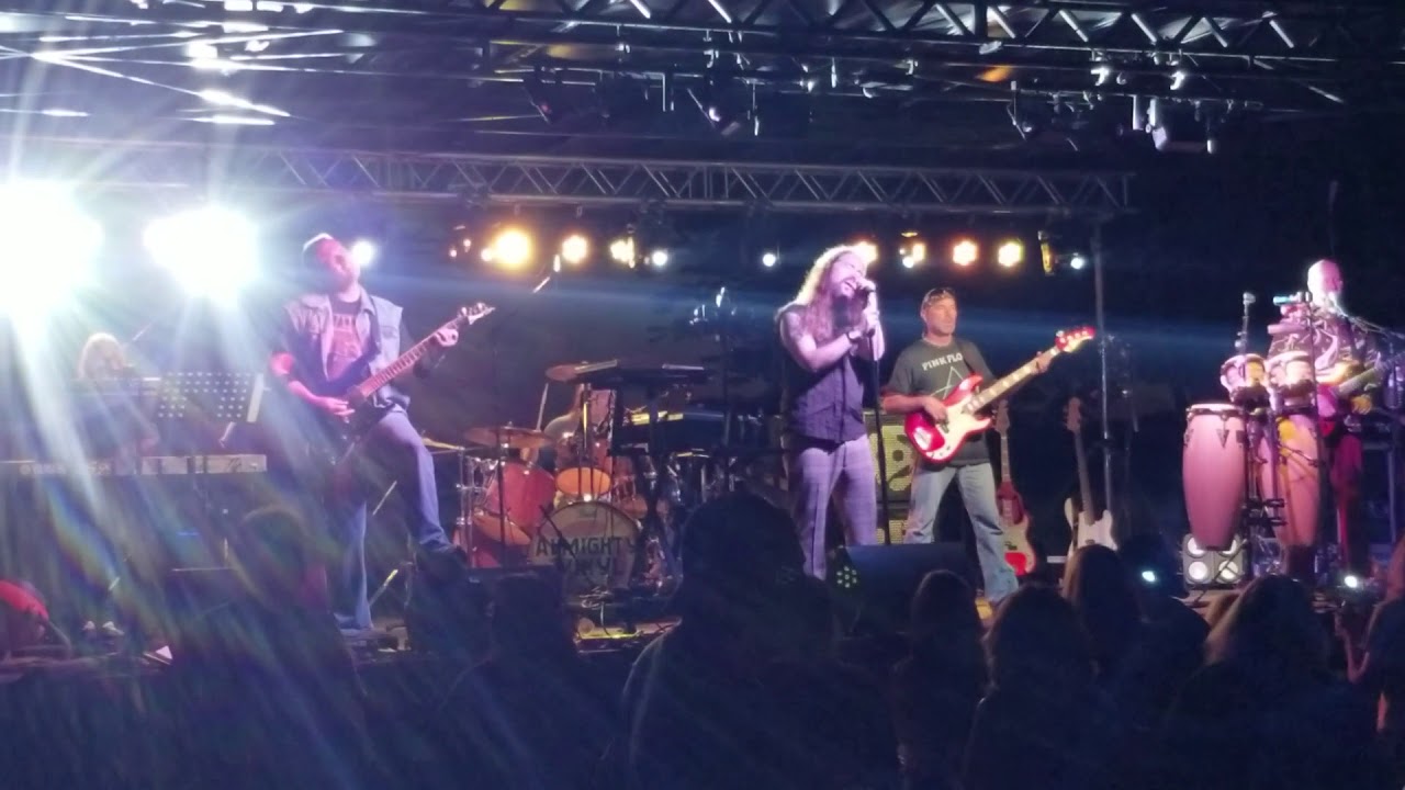 Almighty Vinyl - YouTube