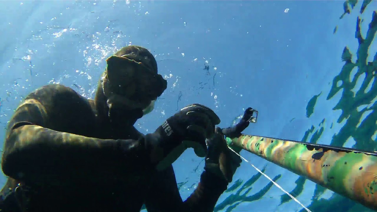 ψαροντουφεκο σαργοι σαλπες & κεφαλια spearfishing - YouTube
