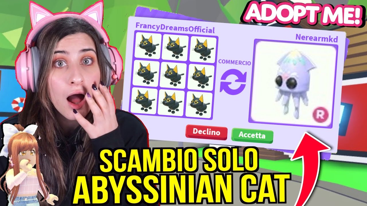 SCAMBIO SOLO GATTI ABISSINI in un SEVER RICCO + REGALO per voi 🥳 Roblox ...