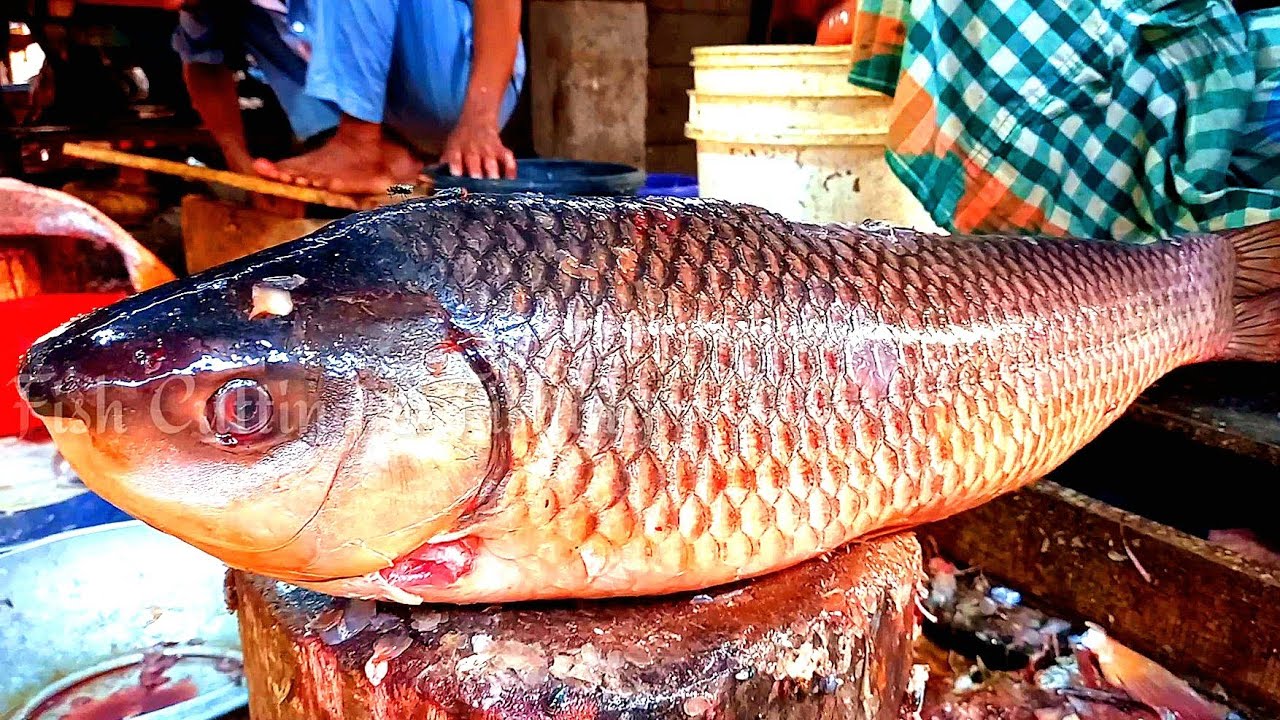 Amazing Live Rohu Fish Cutting Skills | Giant Big Rohu Fish Cutting And ...