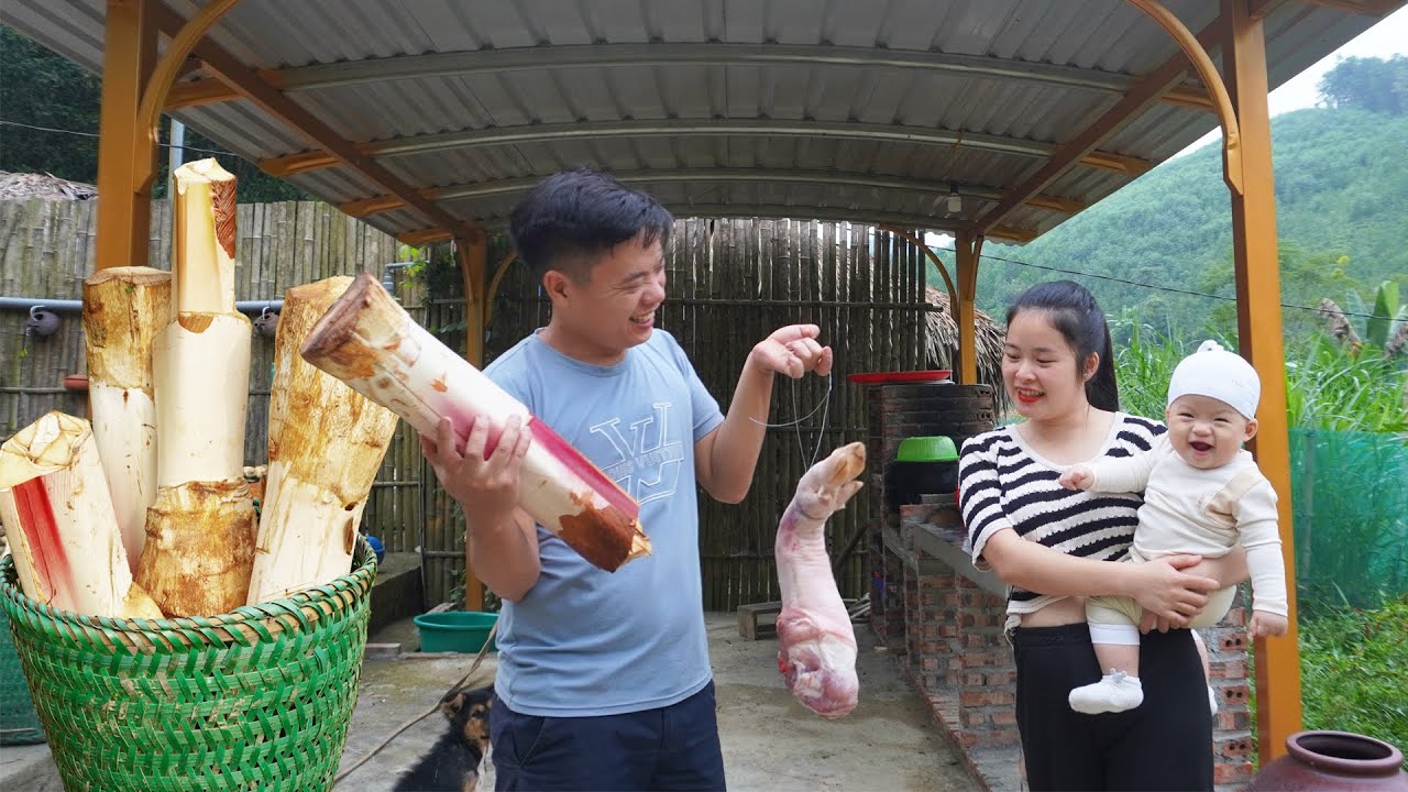 How to harvest palm tubers go to countryside market sell - Cooking pork ...