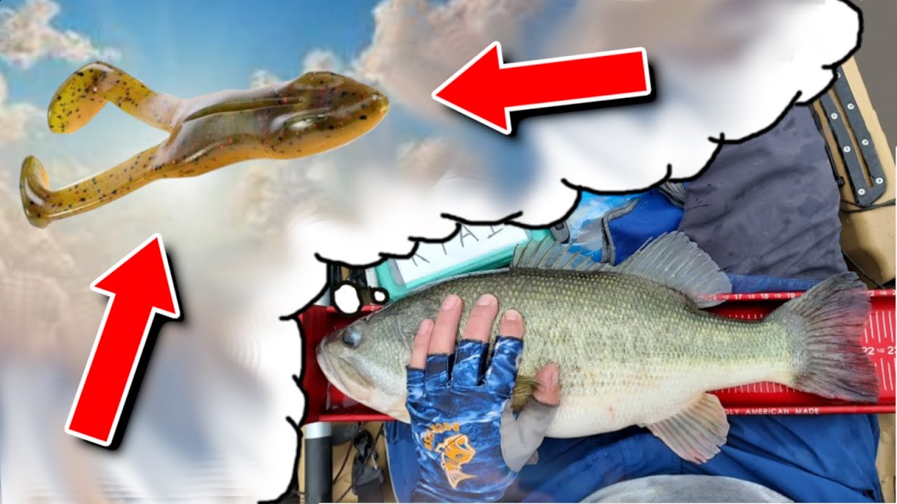 Bass DREAM about EATING this LURE | Best lure EVER. - YouTube
