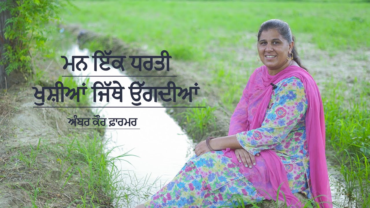 Happiness | Amber Kaur Farmer | Harp Farmer vLogs - YouTube