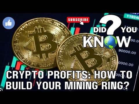 Crypto Profits: How to  Set up Build Mining Ring, Beginner’s Guide