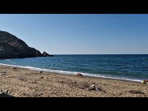 Dereağzı Koyu / Erdek, 1 Ağustos 2024