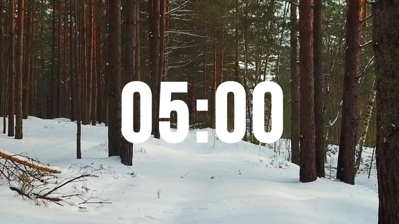 5 Minute Timer With Music | Relaxing | Winter Lake & Forest 4K - YouTube