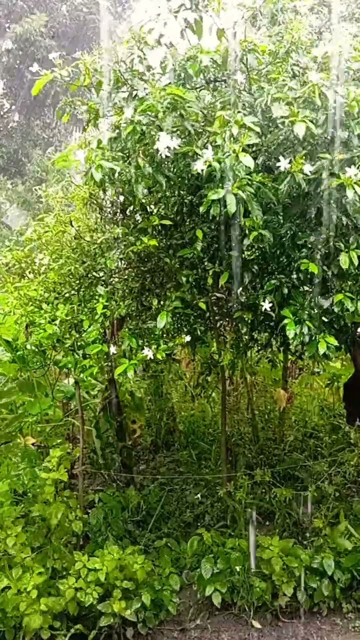 23 August 2024 - YouTube