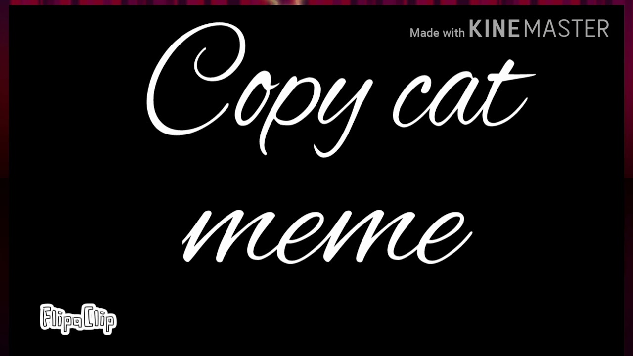 Copy cat meme animation - YouTube