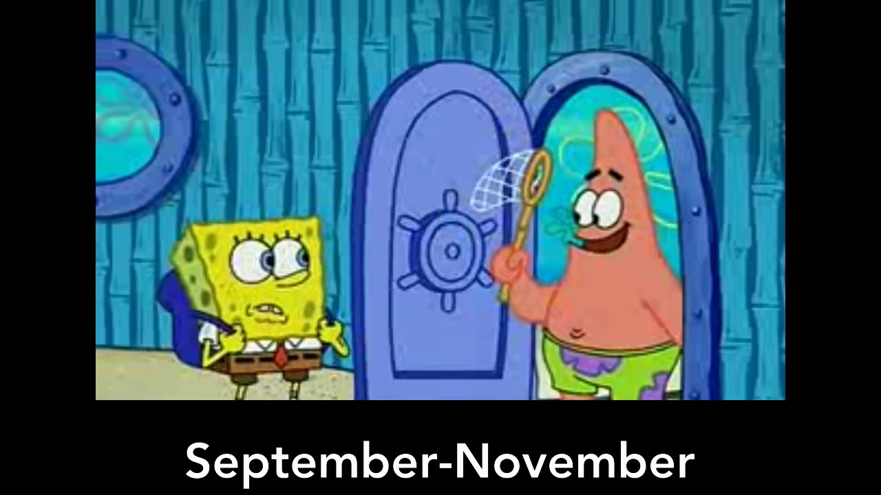 months portrayed by spongebob - YouTube