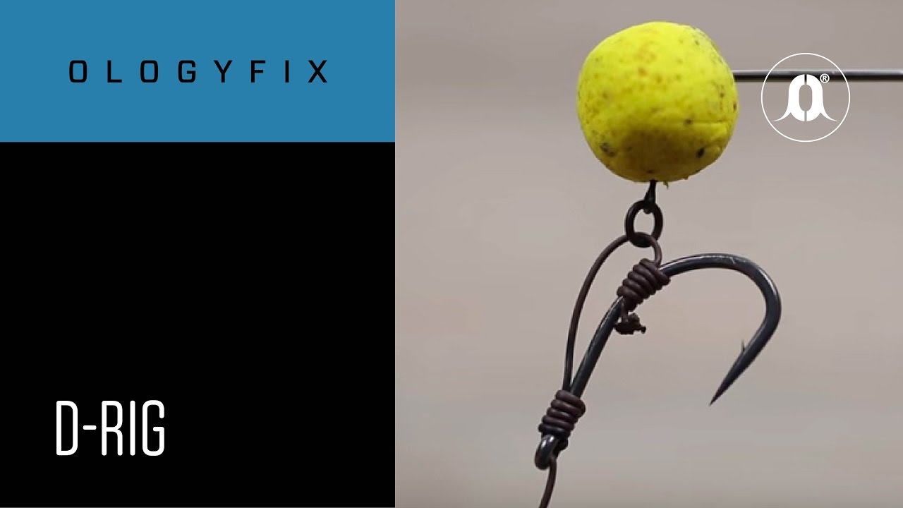 CARPologyTV - OlogyFix How to tie a D-Rig - YouTube