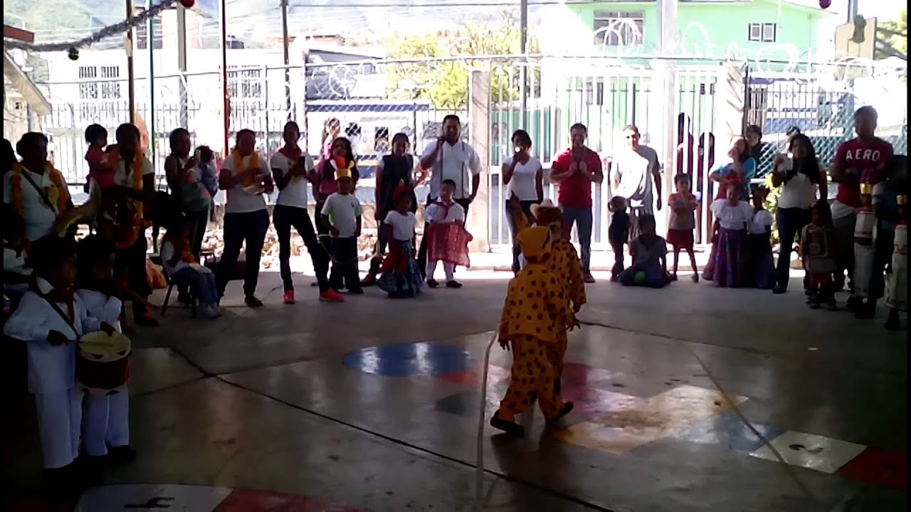 Porrazo de tigre rogeliodemiliana - YouTube