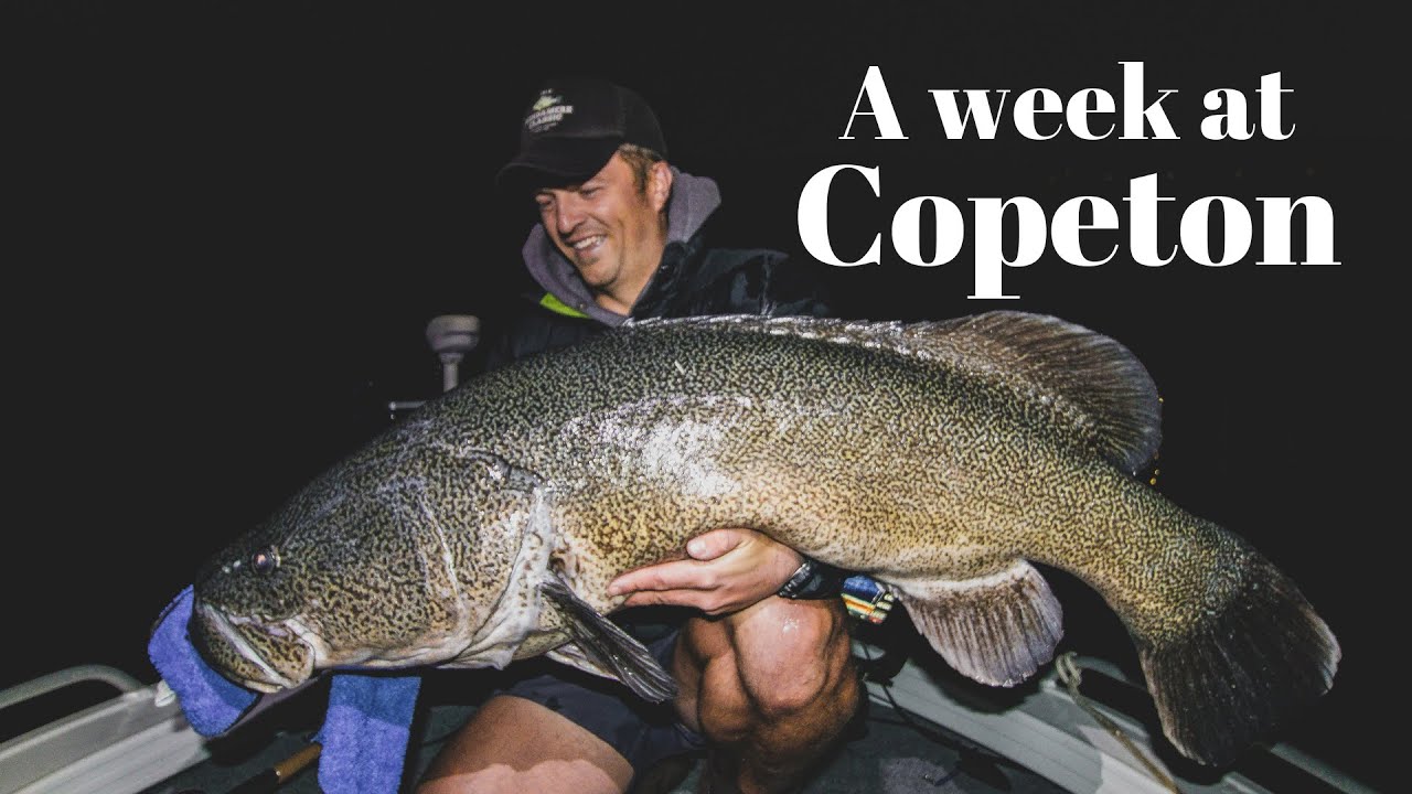 A week at Copeton: 121cm Murray Cod - YouTube