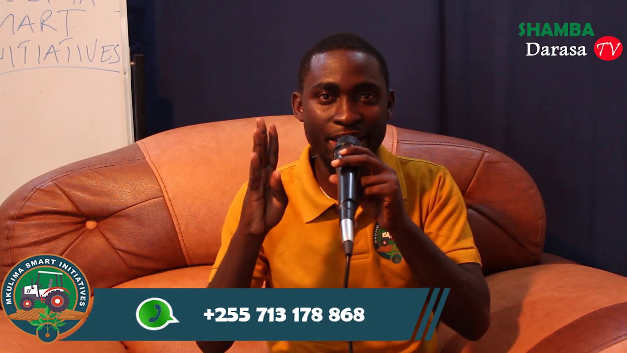 MKULIMA SMART INITIATIVES: kituo cha kilimo,mifugo na ujasiriamali ...