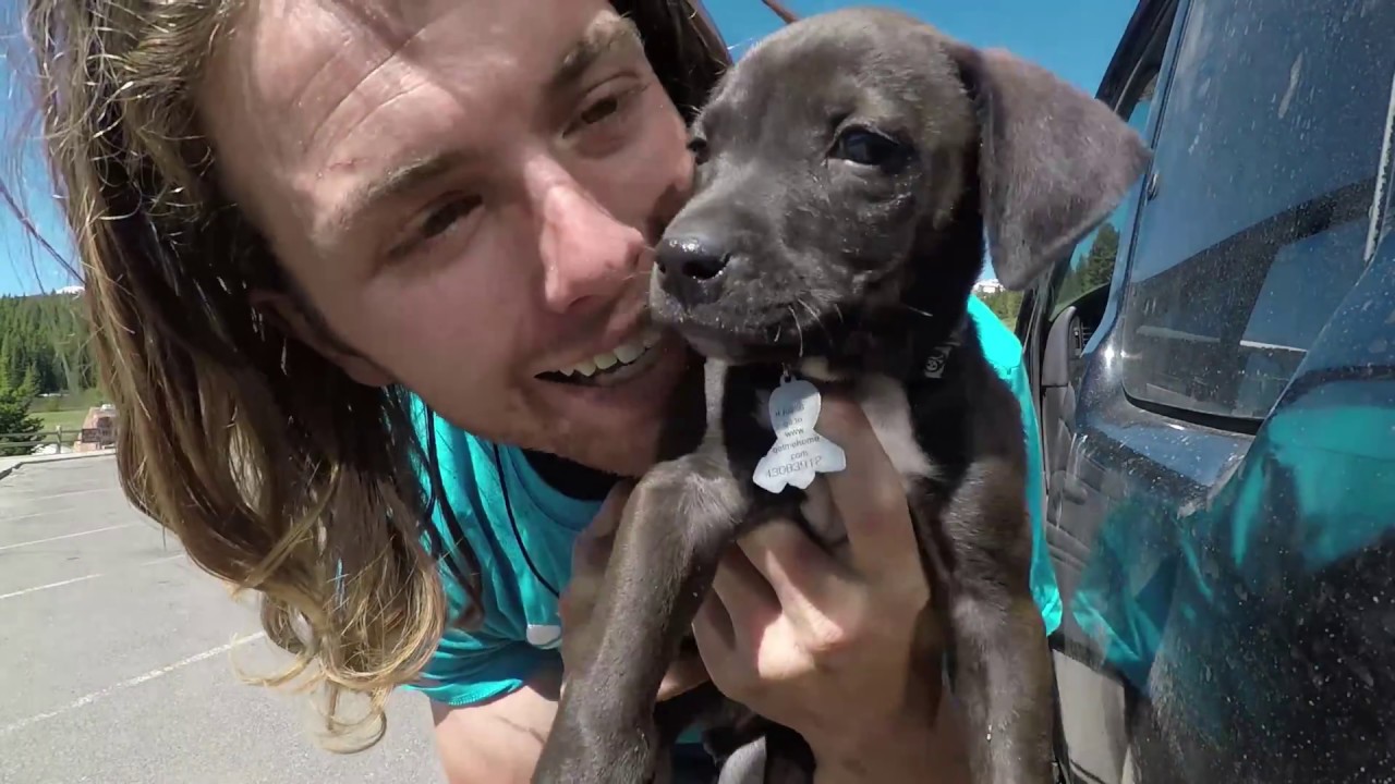 Finding Phoenix - YouTube