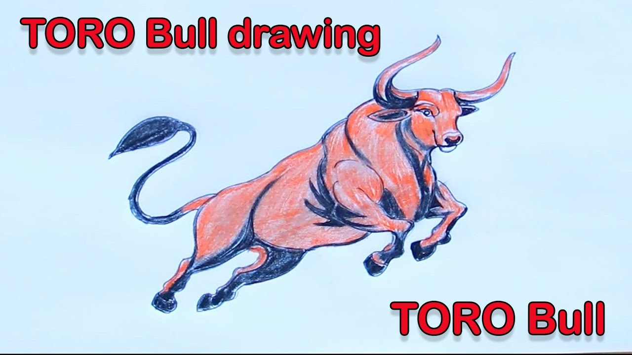 How to draw a TORO BULL - YouTube