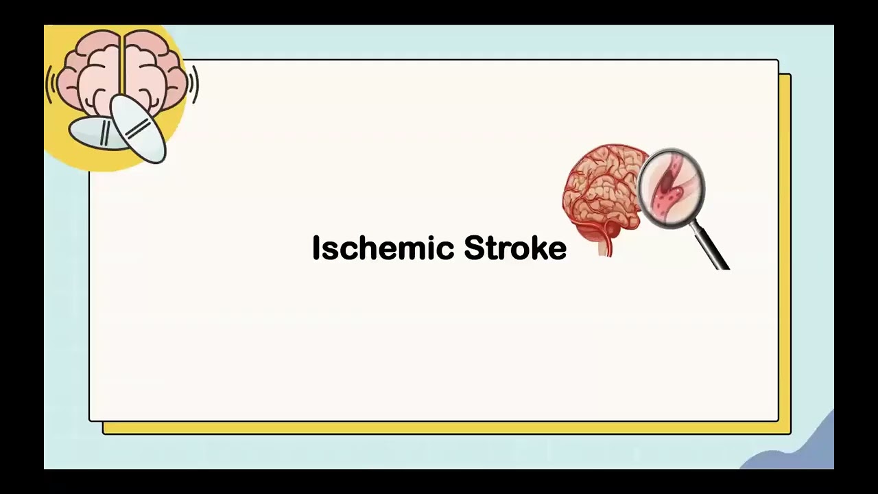 Neurology review - YouTube