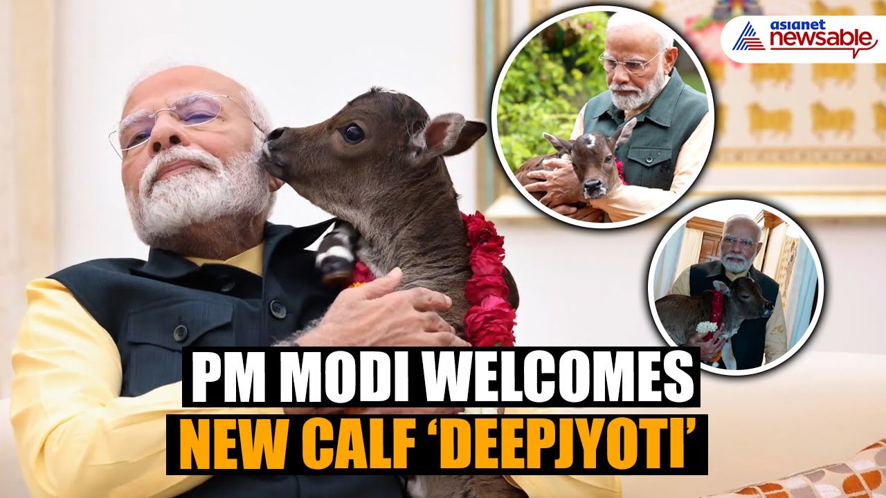 PM Modi Welcomes New Calf ‘Deepjyoti’ at Lok Kalyan Marg Residence ...