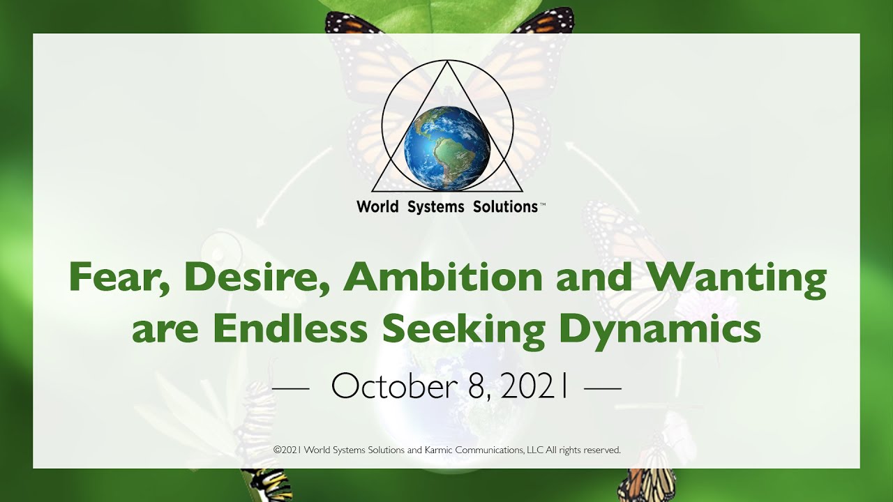 WSS - Fear, Desire, Ambition and Wanting are Endless Seeking Dynamics ...