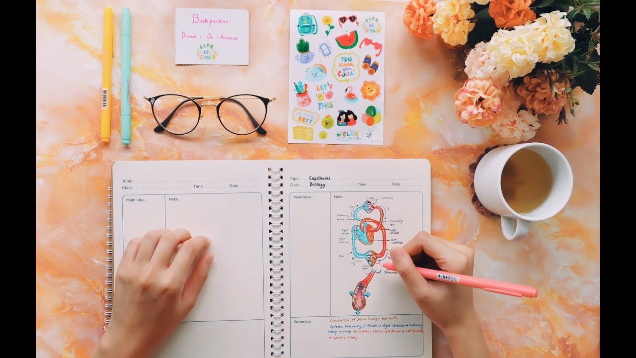 Study Buddy & Lecture Book (Study Set 2019) By Bookpacker - YouTube