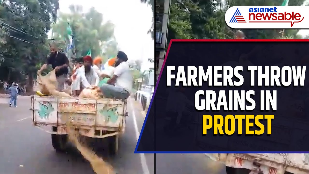 Punjab Farmers Protest: Throwing Grains Over Low Crop Prices - YouTube