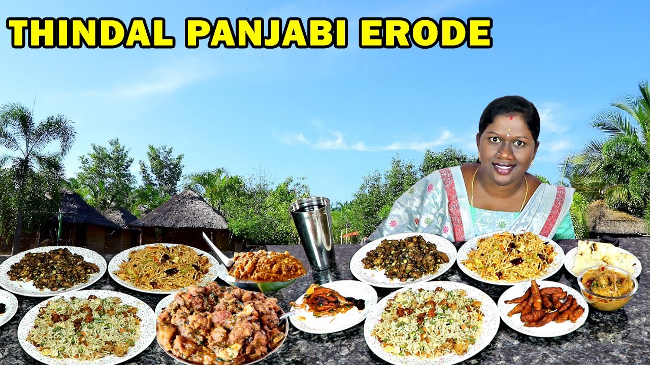 THINDAL PANJABI DABA ERODE / FOOD REVIEW AND REACTION / NETHILI FISH ...