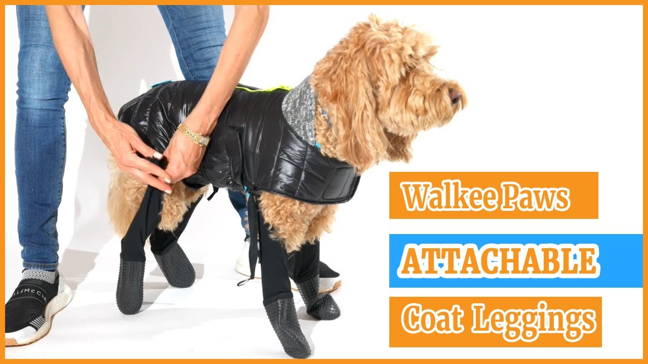 How To Fit- Walkee Paws Attachable Coat Leggings | Best dog winter ...