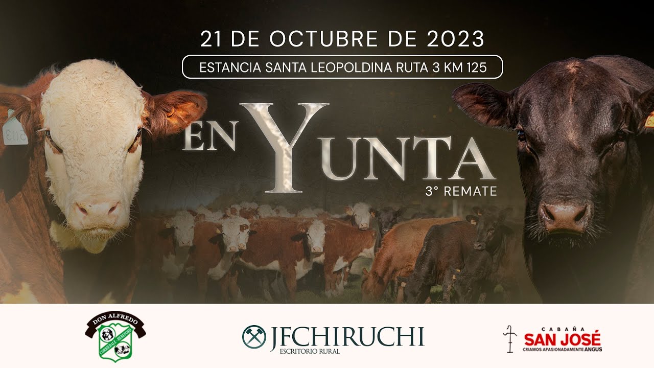 2023-10-21 EN YUNTA - YouTube