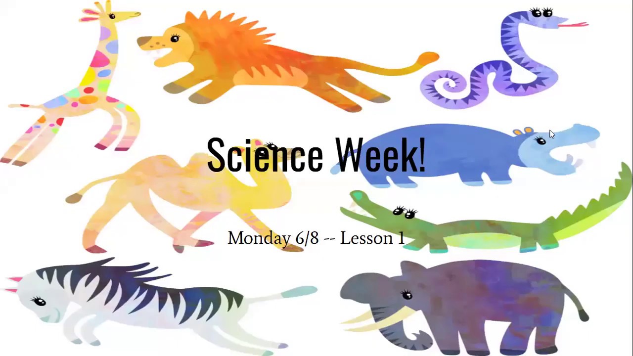 6/8 Monday / 3rd Grade Science - YouTube