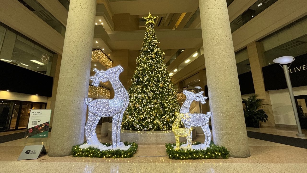TORONTO LIVE Night Walk From Yonge St & Front St E to Sir Isaac Brock ...
