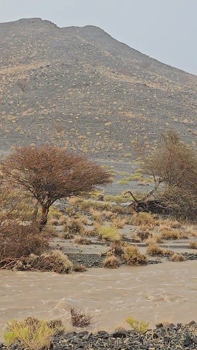 شاهد | جو ماطر وطبيعه رائعه وسيول متدفقه بالشوعيه بولايه ينقل - YouTube