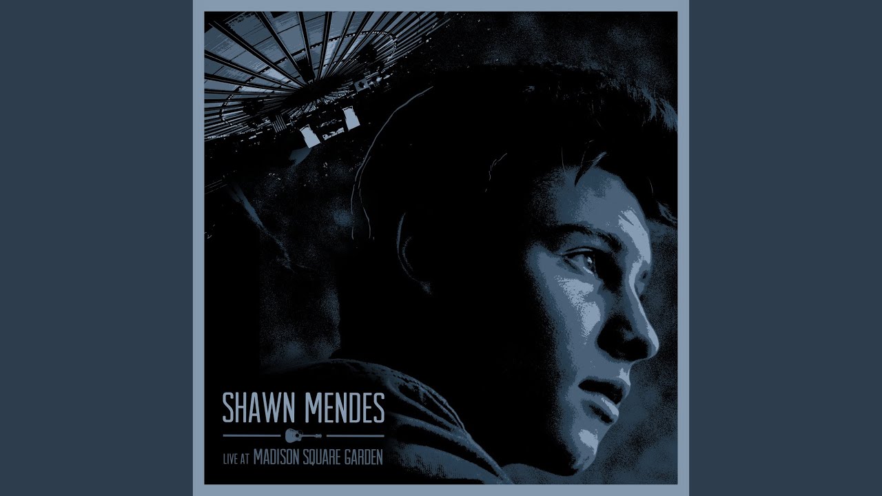 Stitches (Live) - YouTube