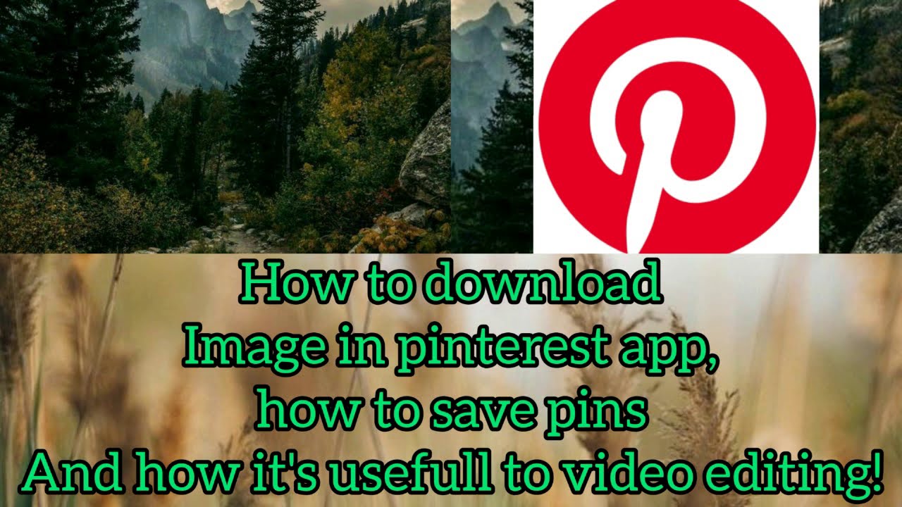 How to download images in pinterest app | How to save pins in Board how ...