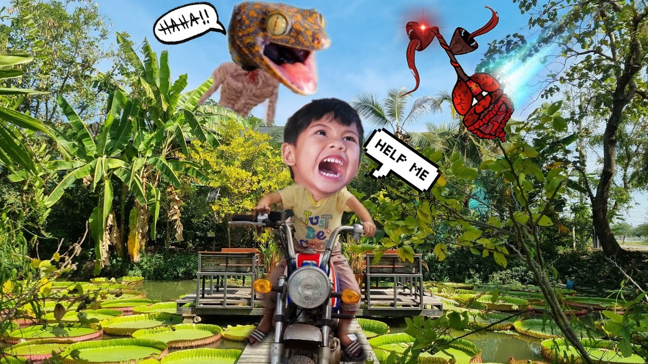 เจ้าเปา ตะลุย‼️ชาโต เดอ เกตี้ Chateau de Kethy นครปฐม ep.1 บัวกระด้ง ...