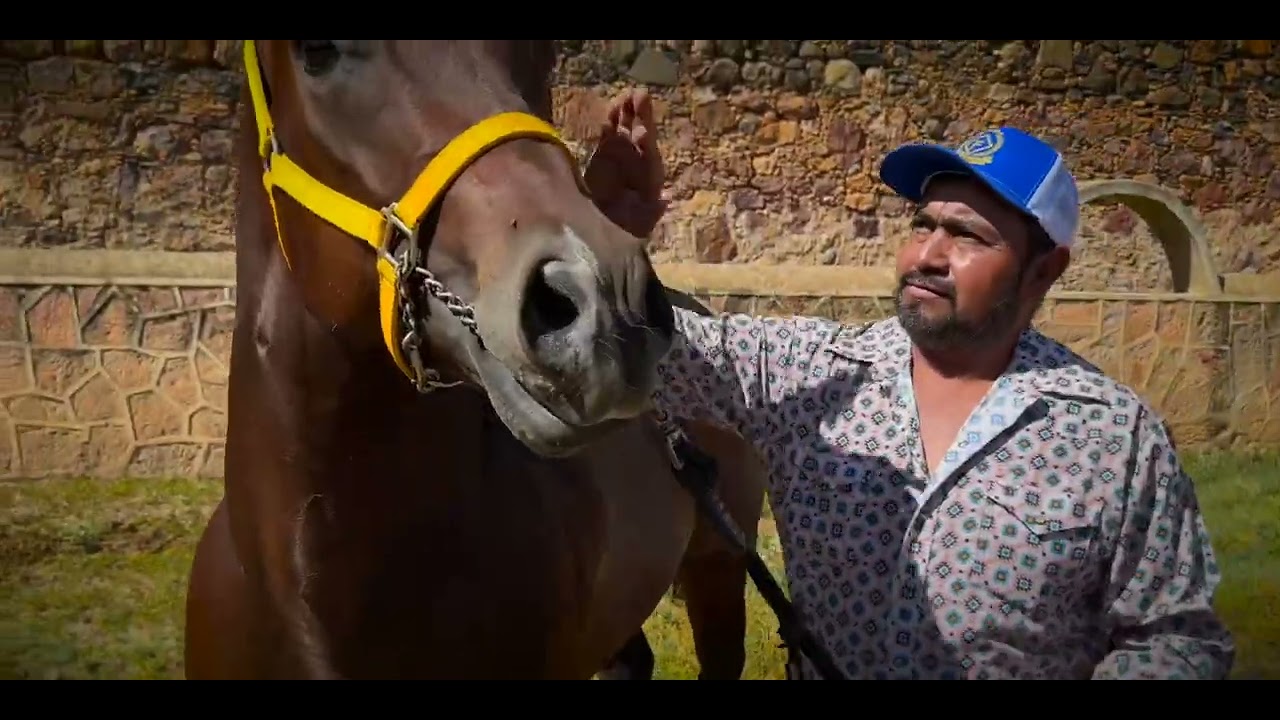 BANDA LA VICTORIA— El corrido de Raúl de la Riva - YouTube