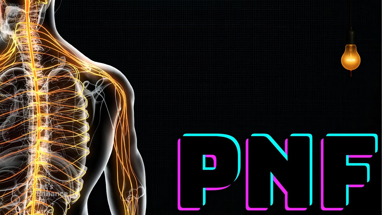 Proprioceptive neuromuscular facilitation (PNF) - therapeutic exercise ...