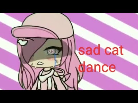 sad cat dance meme • by Radd • - YouTube