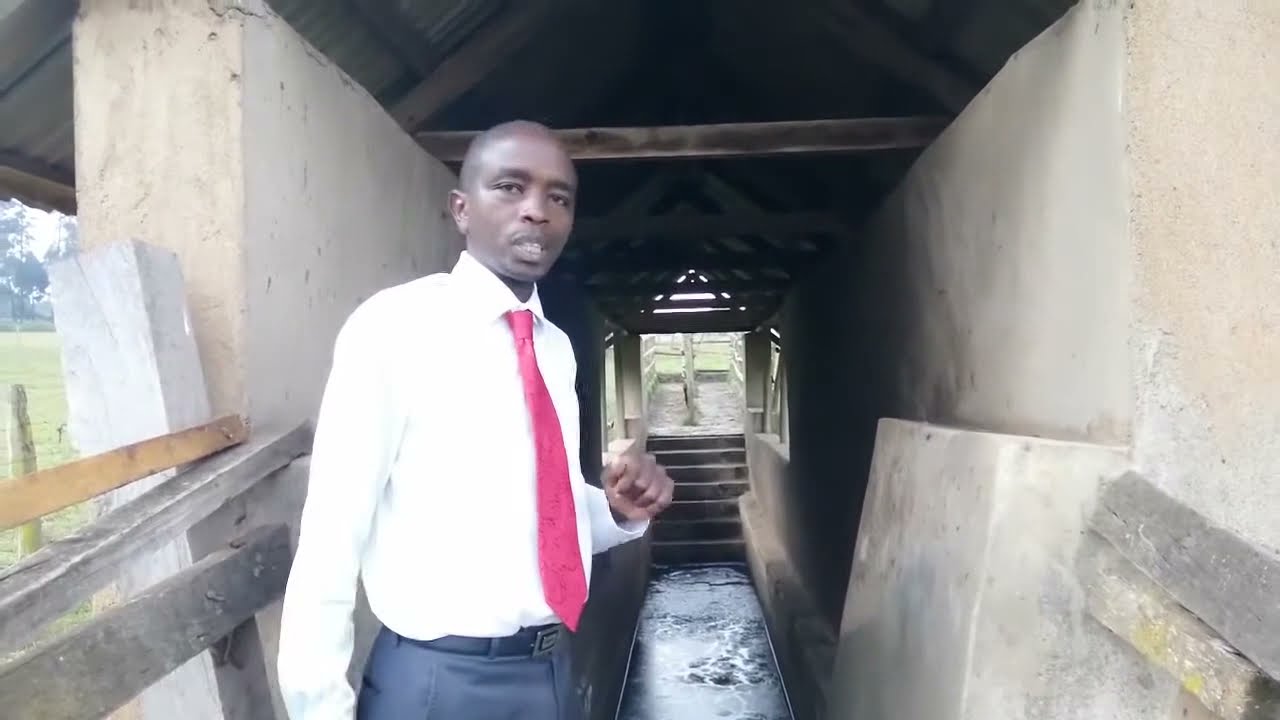 Cattle Dip parts and function-How to Control External parasites - YouTube