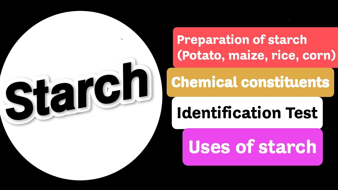 Starch || Preparation, uses, identification test/ Rice, wheat, maize ...