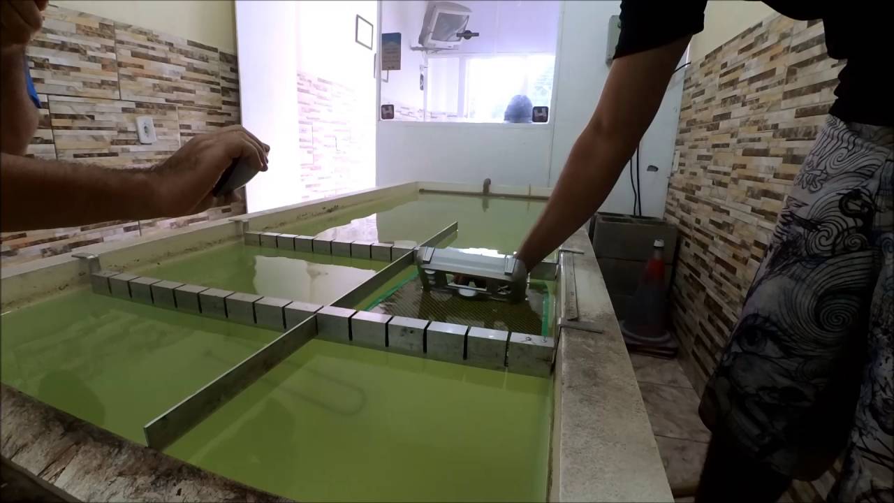 Water Transfer Painting - Preview - YouTube