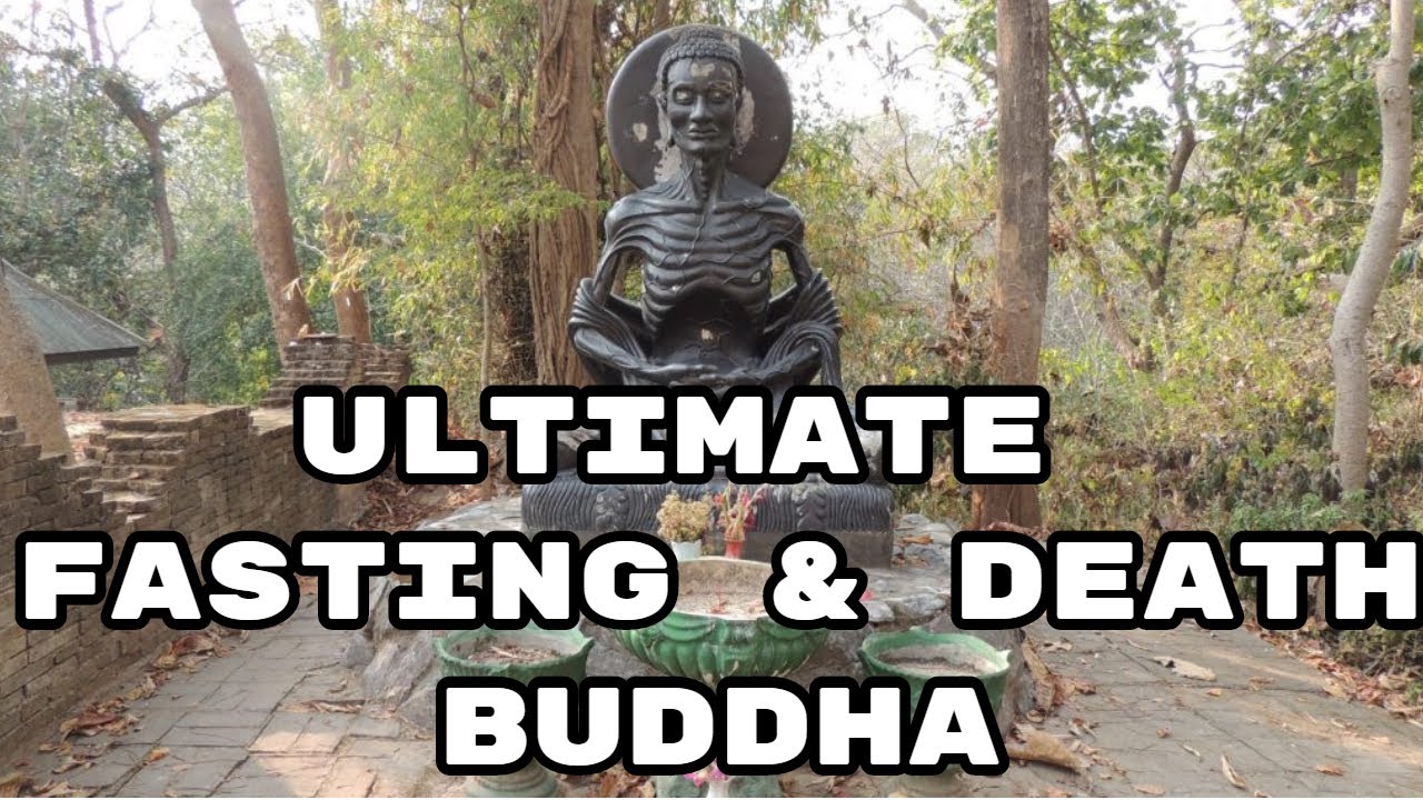 Do you Know How Buddha Died | Rare & Untold Facts | Documentry - YouTube