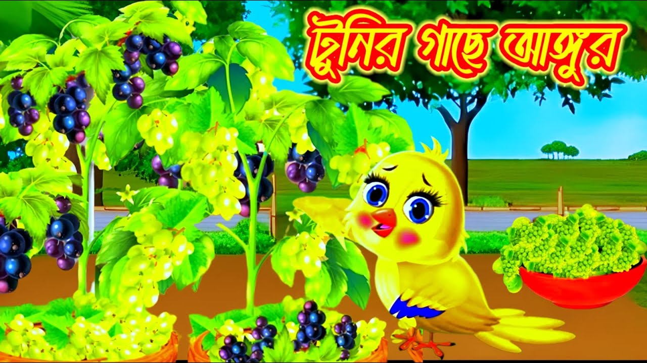 টুনির গাছে আঙ্গুর | Tunir Gache Angur | cartoon bangla |Birds Story ...